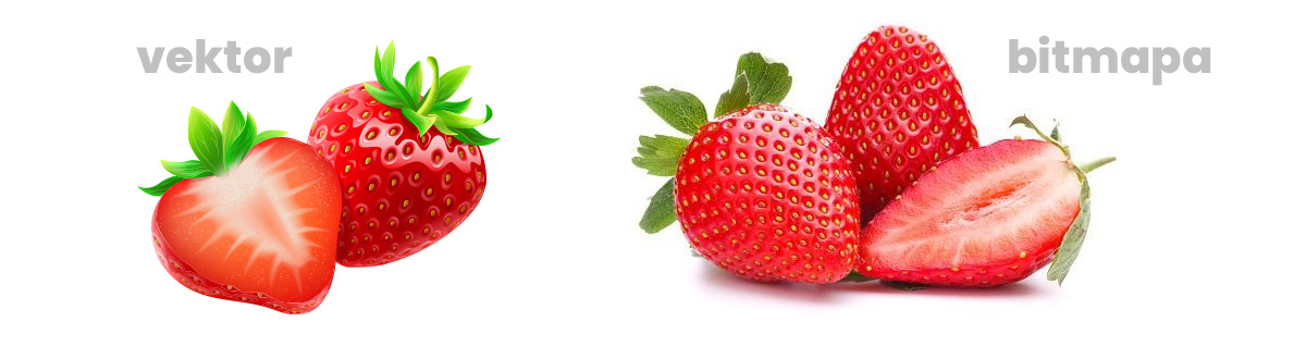 Grafika | Jaký je rozdíl mezi vektorem a bitmapou? | Czech Promotion